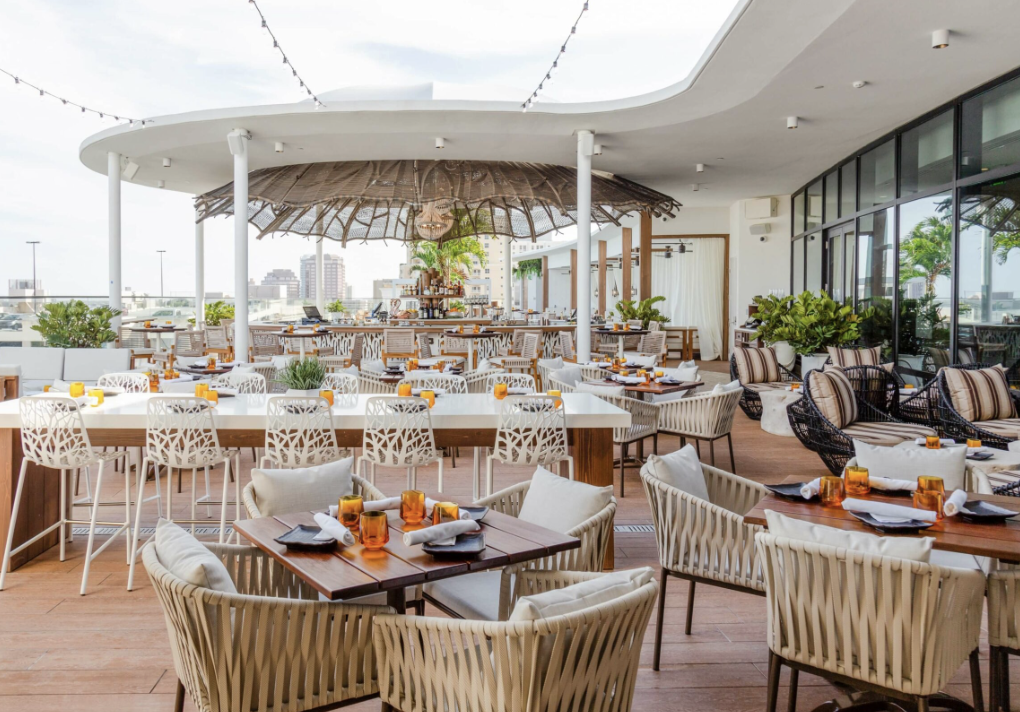 It’s Gator Dating Season in Florida — Here’s What You Need to Know ...