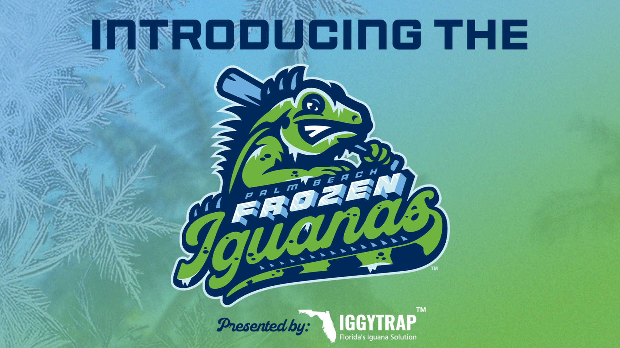 Palm Beach Cardinals Go Ice-Cold in 2026 as the Frozen Iguanas - Palm ...